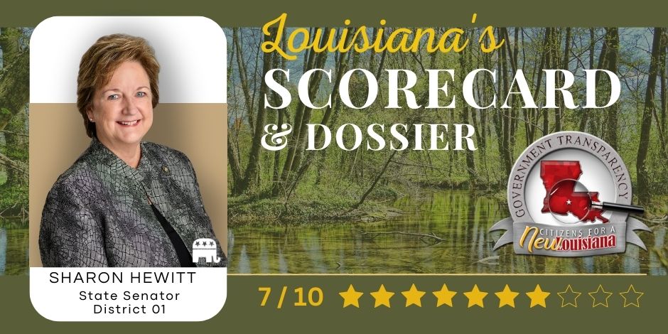 Sharon Hewitt - Former State Senator Score 7/10